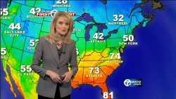 Hally Vogel - WXYZ 7 Detroit - TvNewsCaps
